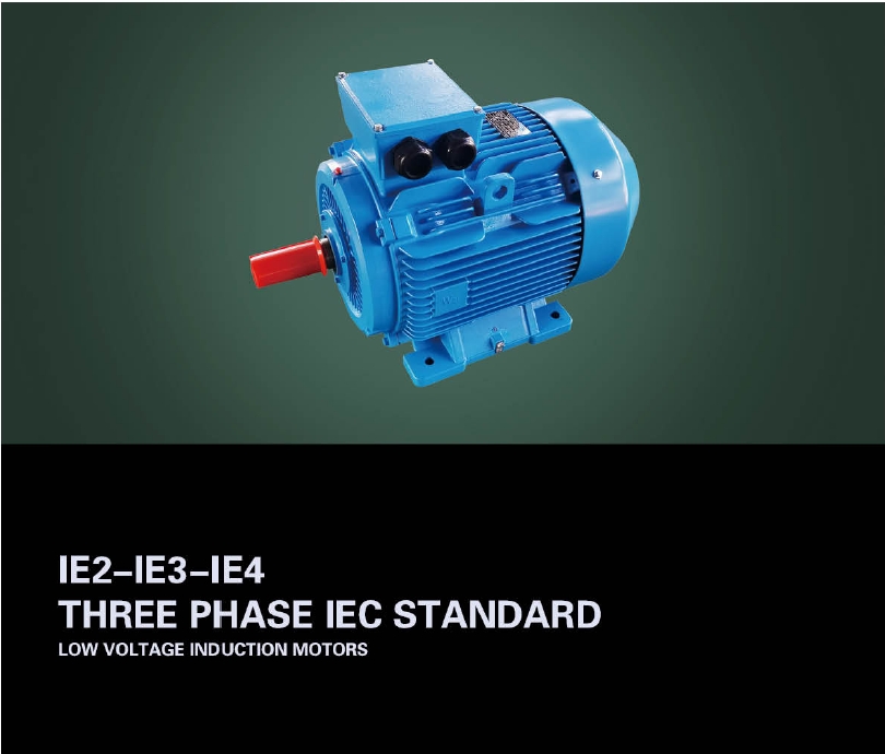 YE4 SERIES THREE PHASE MOTOR - Buy YE4 MOTOR, IEC STANDARD, THREE PHASE ...